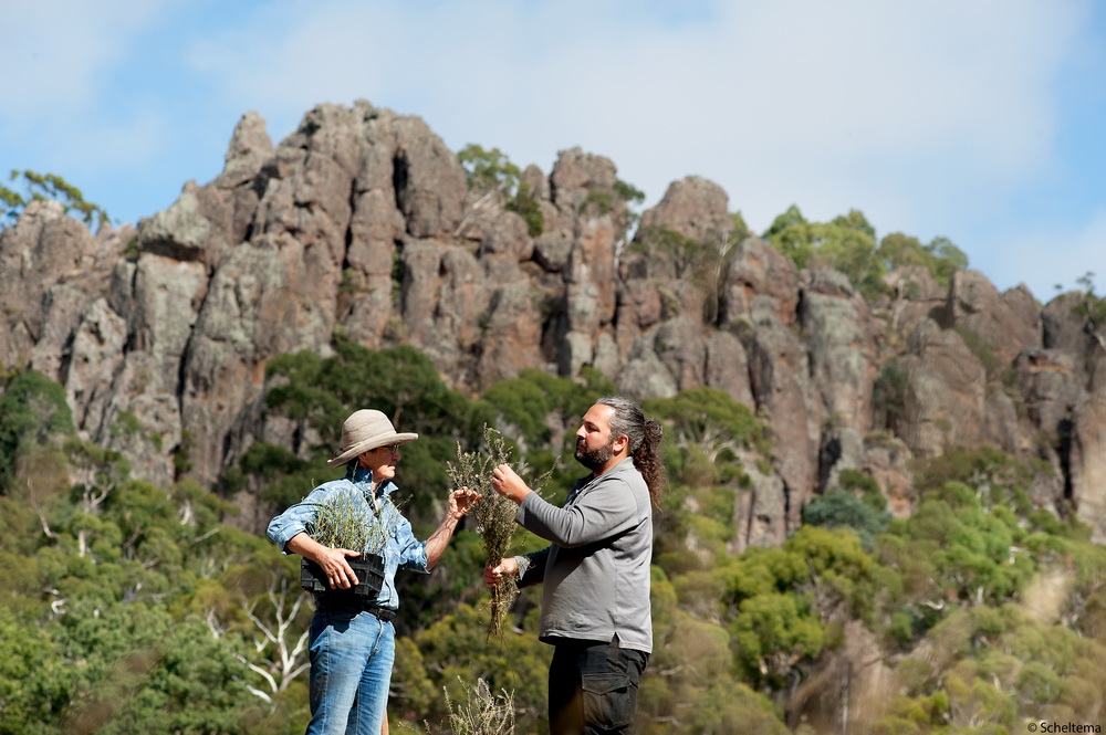 MARCH 2019 | Upper Campaspe Landcare