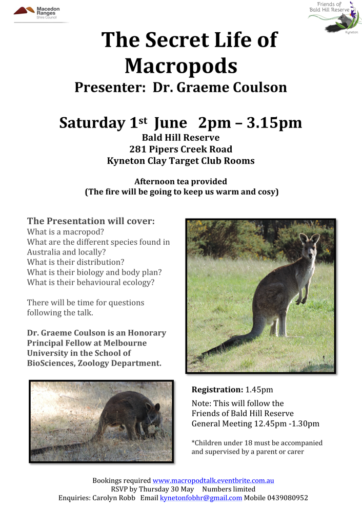 THE SECRET LIFE OF MACROPODS