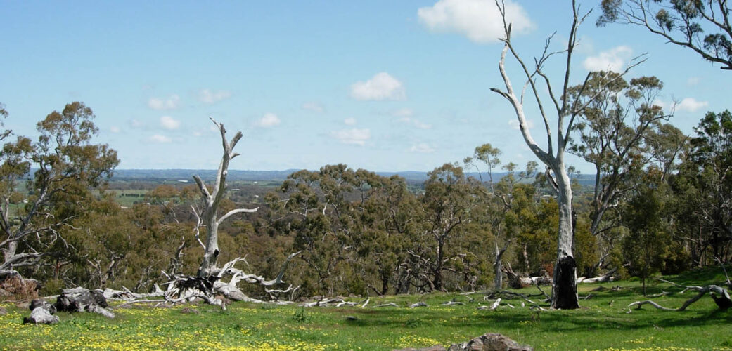 Explore the Relationship between Plants and Soils in Bald Hill Reserve ...